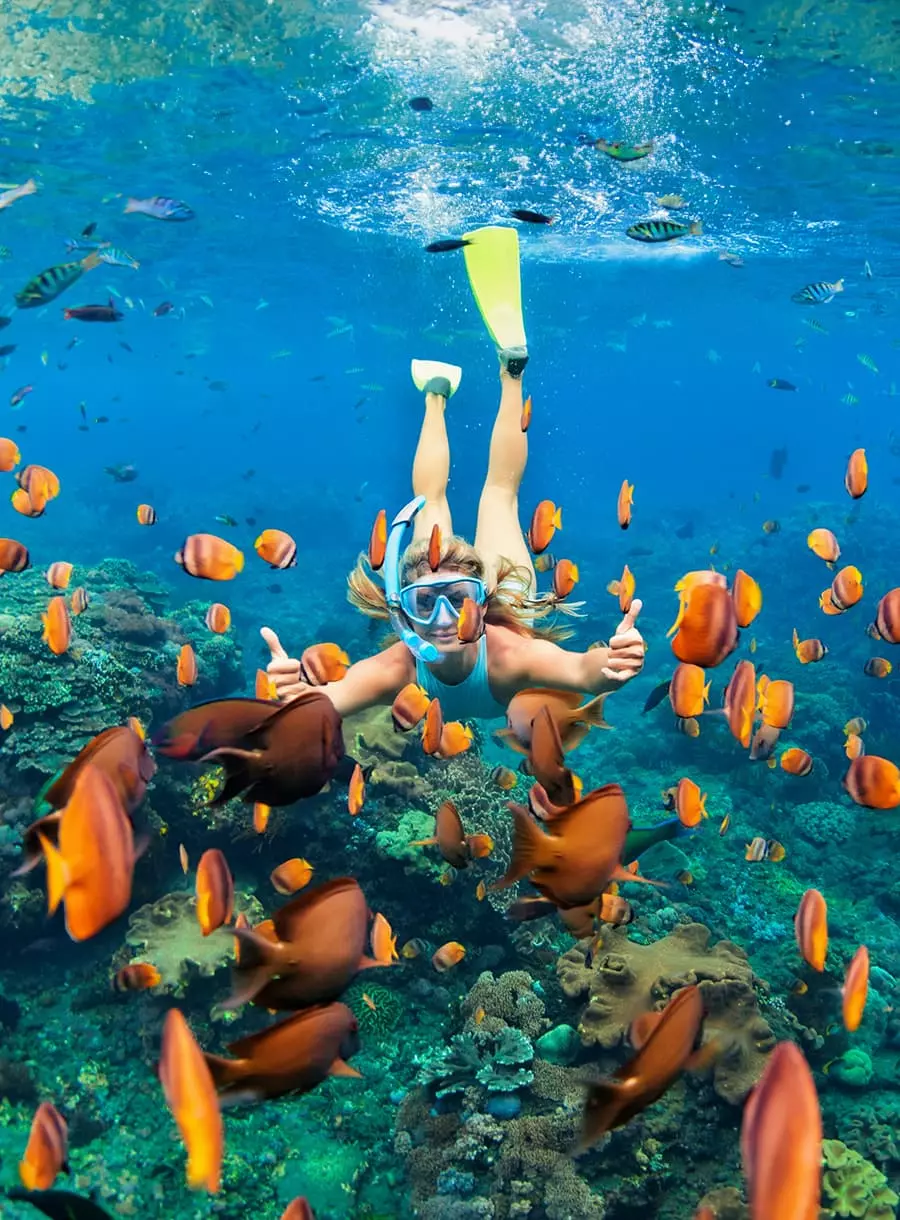 Onboard Activities & Toys – Isabell Yacht